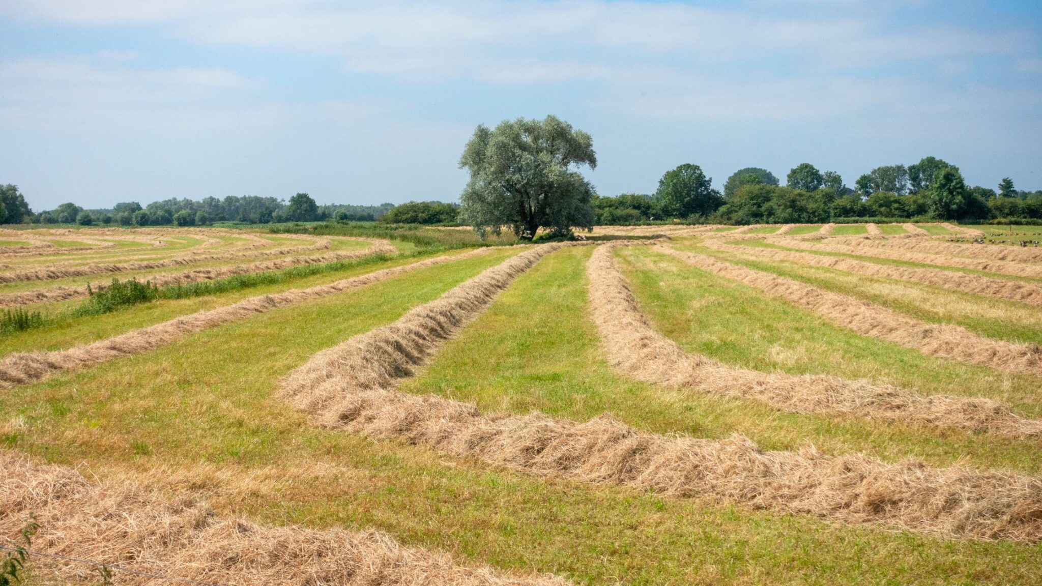 How To Grade A Driveway | 7 Tips For Using A Driveway Grader